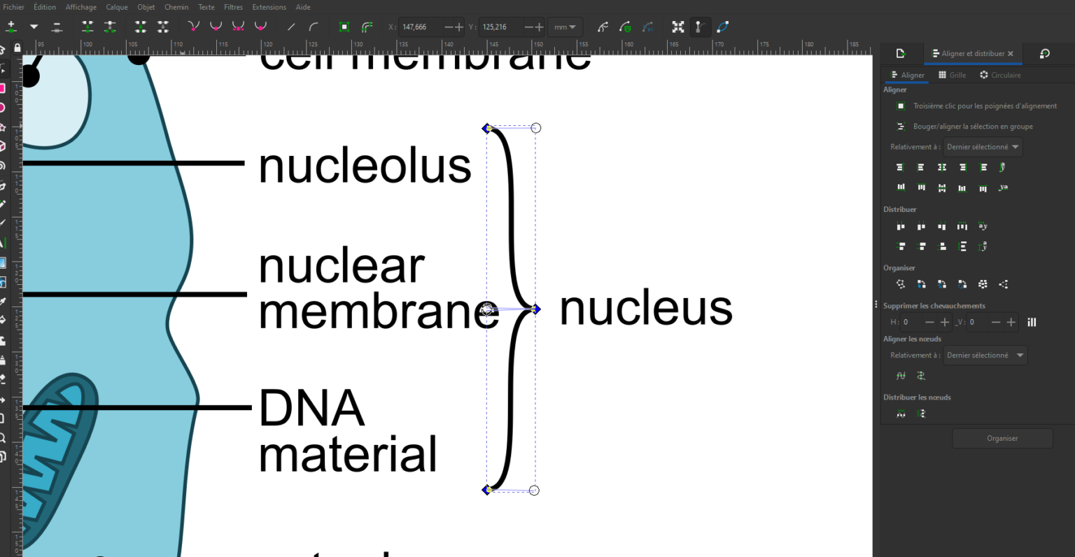 🛠️ Dessiner une accolade – Dessin Scientifique avec Inkscape